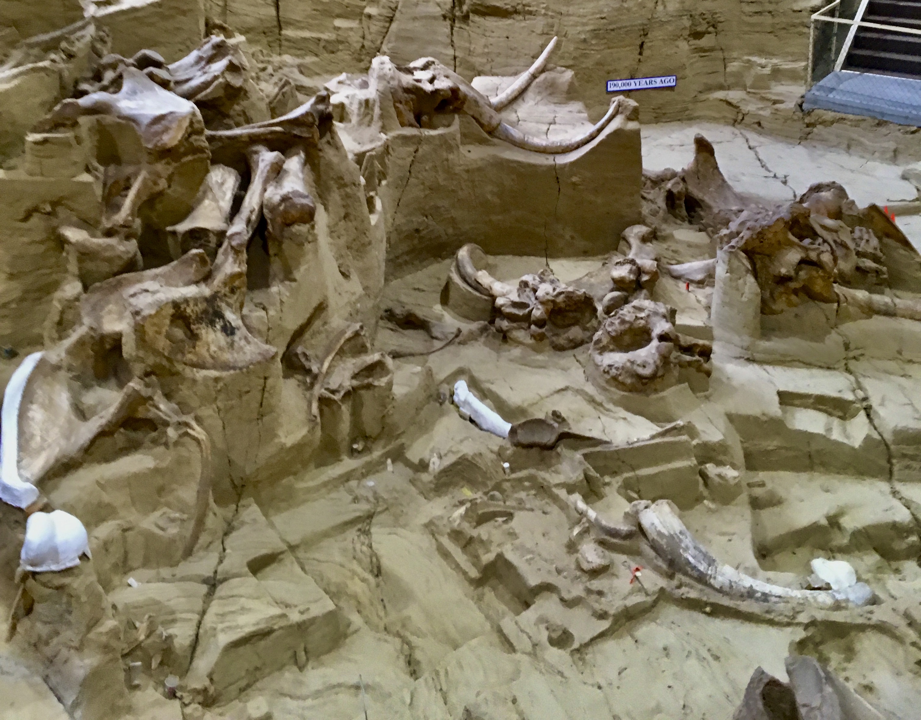 mammoth site cropped